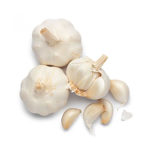 FRESH GARLIC – Rosborg A/S FRESH GARLIC – Rosborg A/S